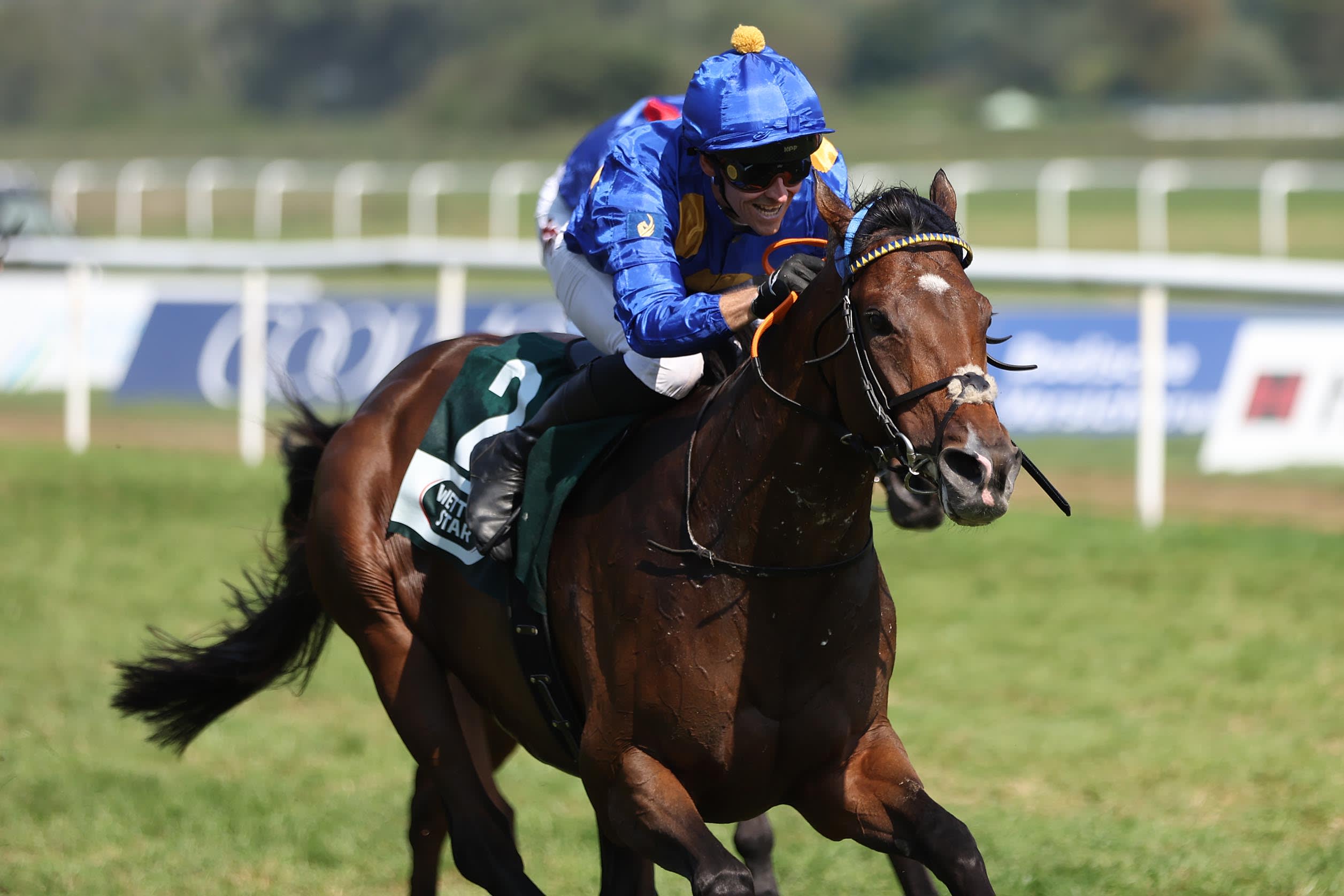 First Japan, then Stallion: Fantastic Moon to cover at Ebbesloh Stud ...