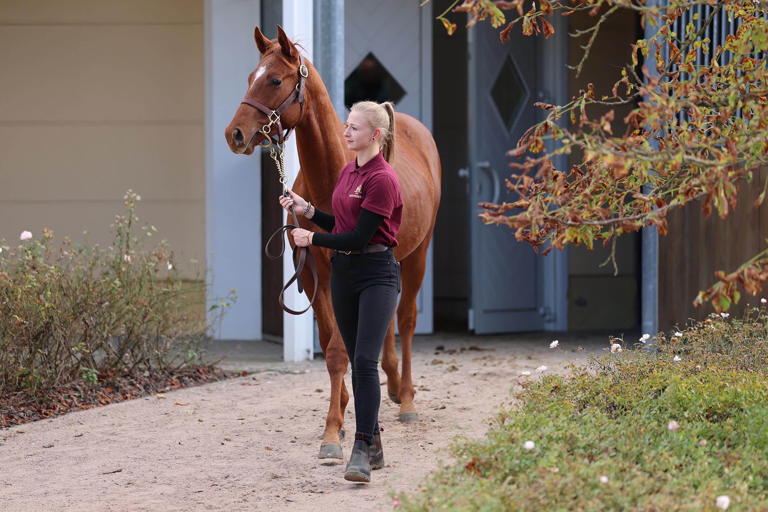 Mission Accomplished! Liberty Racing 2025 Gold und Platin Syndikate ...