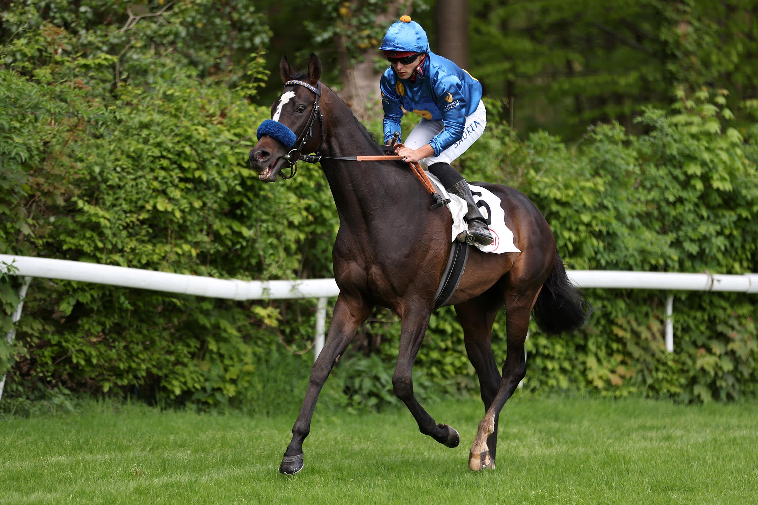 Derby in sight! AMICO impressive in confident win at Munich | LIBERTY ...