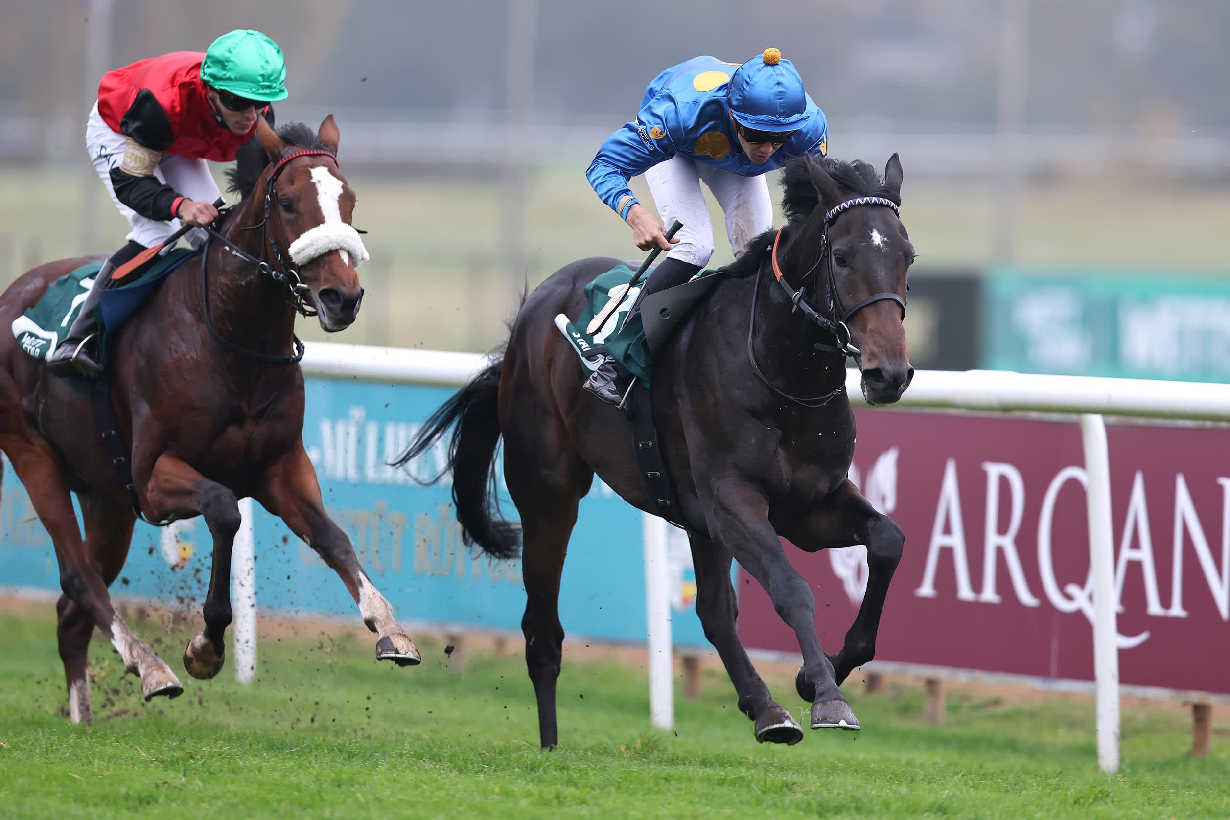 2YO NEW ENGLAND convincing Black Type winner on second time out ...