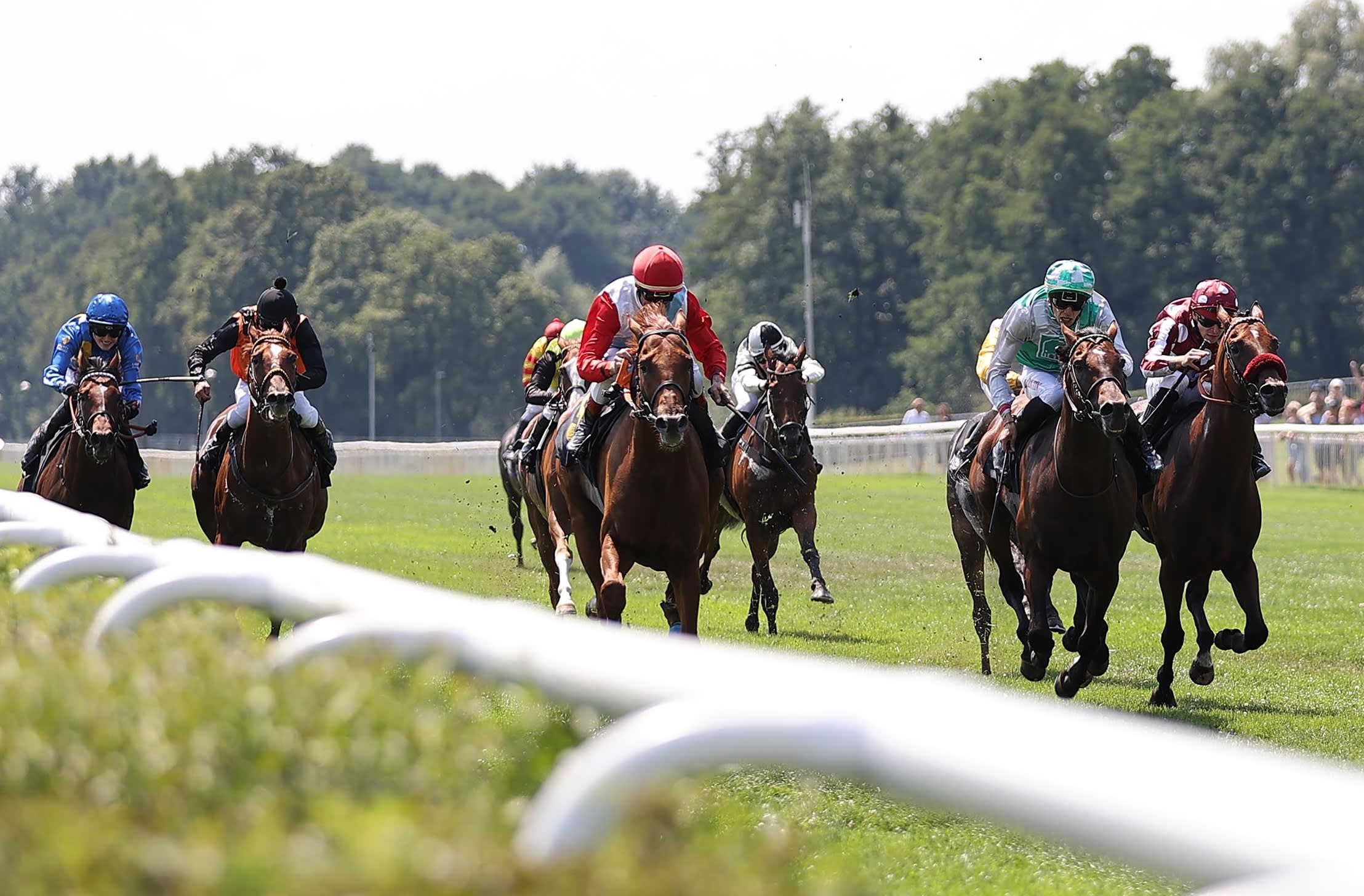 ARGENTUM finishes fourth against the older horses in the Gr.3 ...