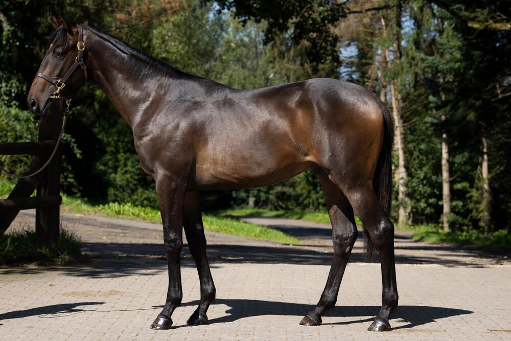 New England | LIBERTY RACING