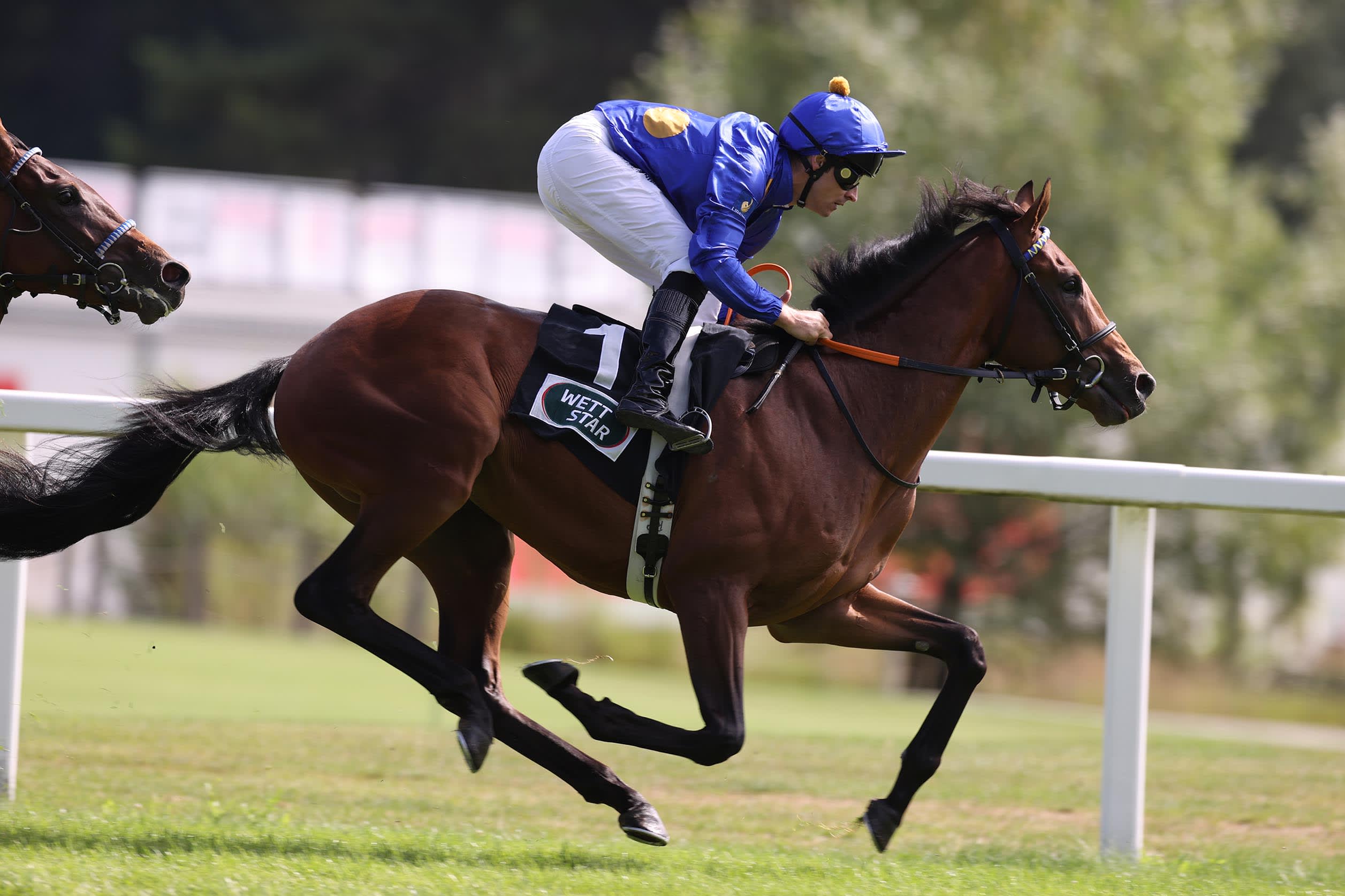 Winning Spirit | LIBERTY RACING